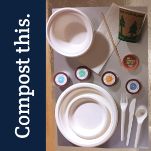 How We Created a More Sustainable Office Environment