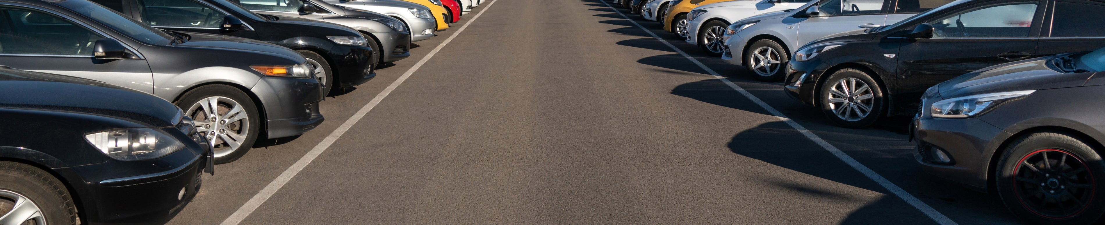 Secure Temporary License Plates For Dealers and State Agencies / RELYCO