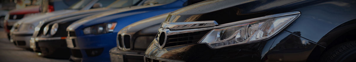 Temporary License Plates For DMVs, Dealers & State Agencies