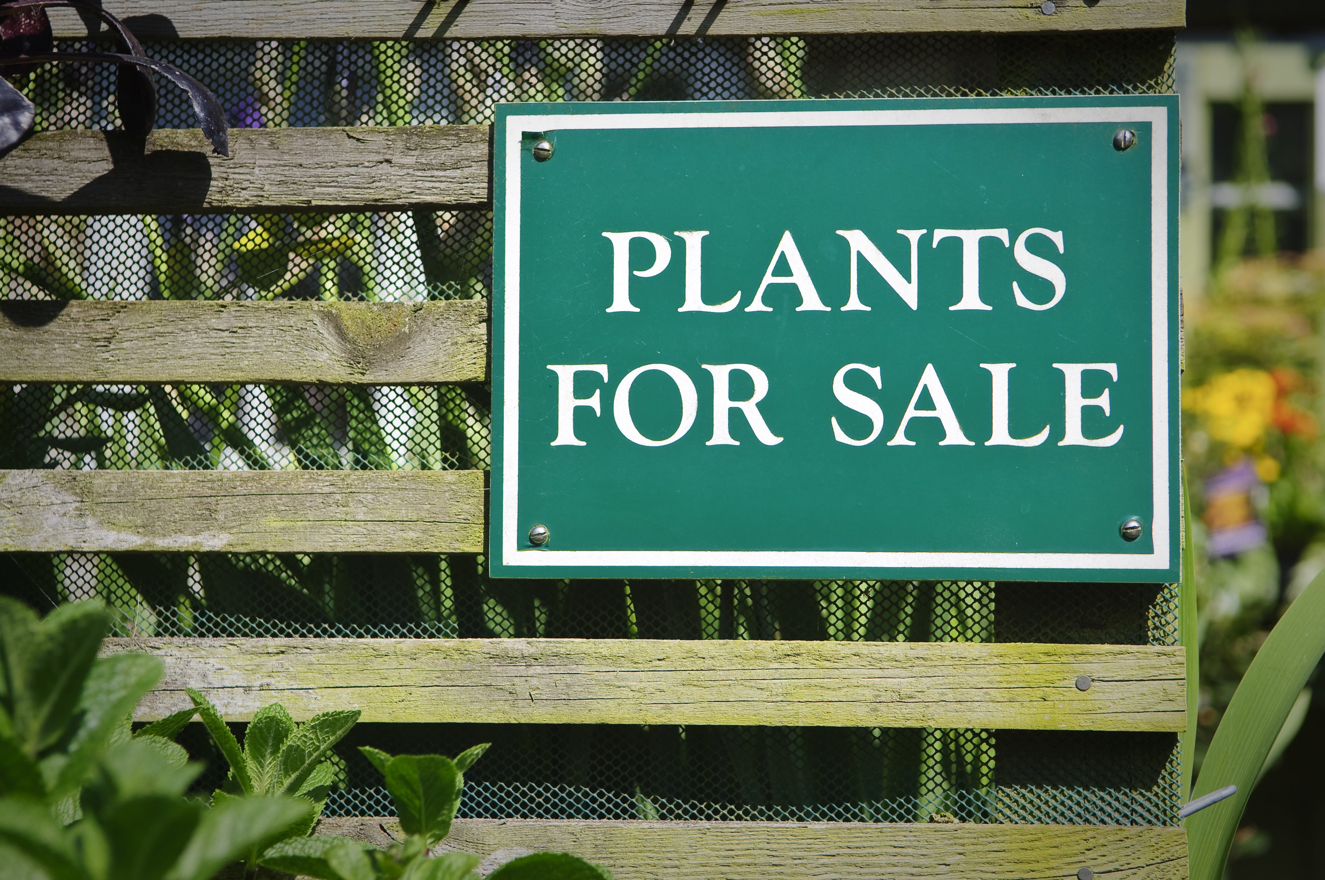 Horticulture Paper Solutions | Plant Stakes, Signage, & More